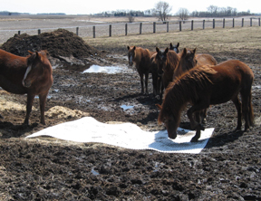 Tapis d'accessibilité et de mobilité | Mobi-mat