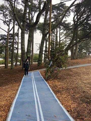 Tapis d'accessibilité et de mobilité | Mobi-mat